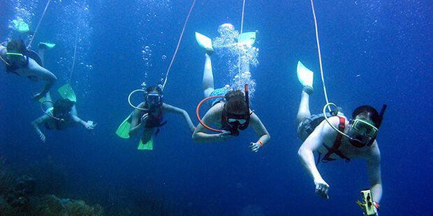 Cabo San Lucas Vacation Packages | All Inclusive Resorts | AppleVacations